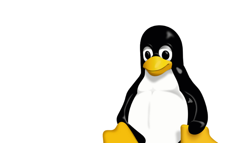 Linux Kernel Logo